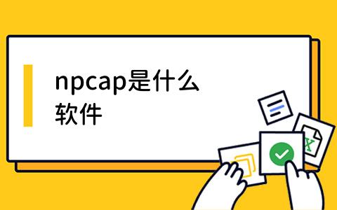 Npcap是什么软件？探索网络数据包捕获工具-板栗看板社区