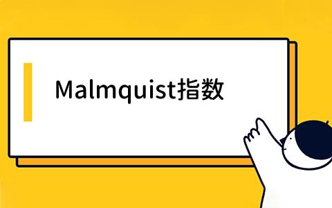 Malmquist指数是什么？如何计算与应用？Malmquist指数的优缺点与发展历程-板栗看板社区